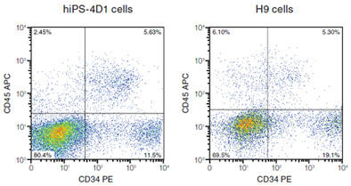 STEMdiff APEL2 Medium | 製品情報 | ベリタス