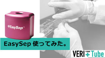 検索結果 | ベリタス