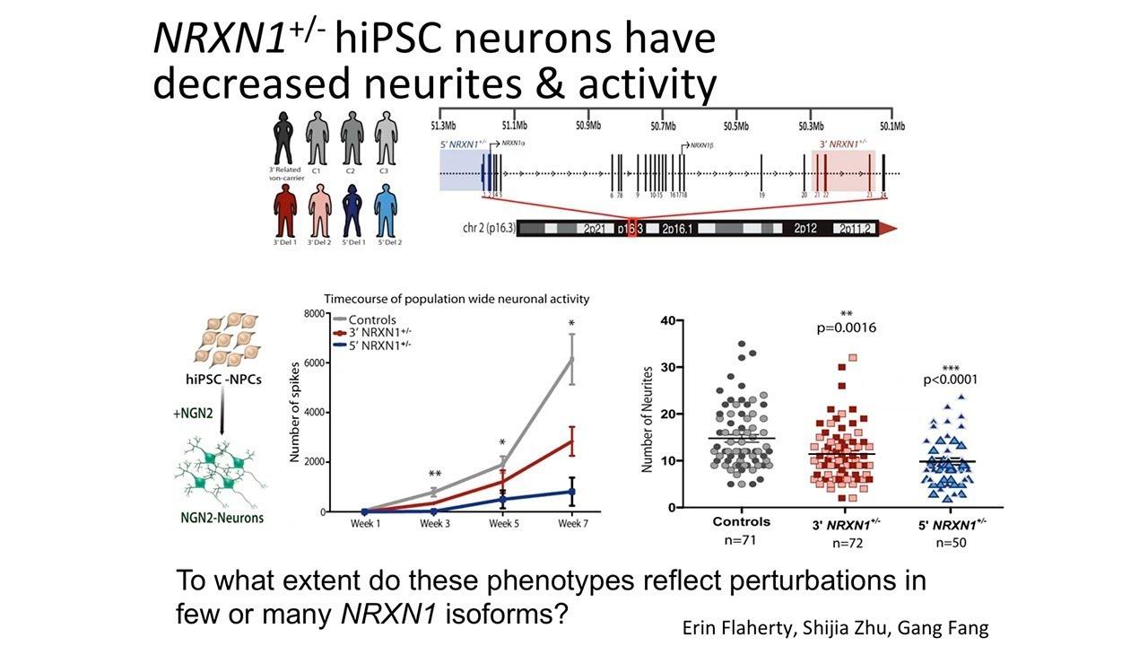 検索結果 | ベリタス