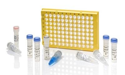 AllType FASTplex NGS | 製品情報 | ベリタス