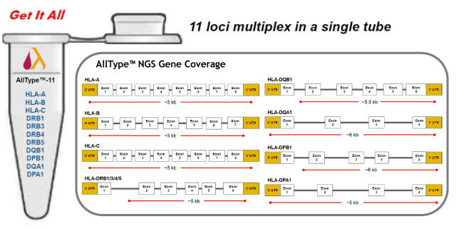 AllType FASTplex NGS | 製品情報 | ベリタス