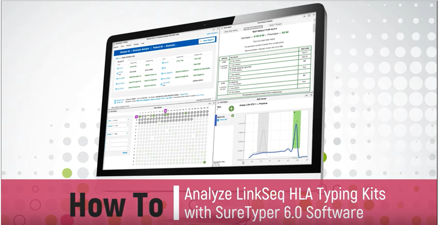 検索結果 | ベリタス
