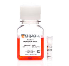 「HemaTox」 in vitro血液毒性試験のための培地とサプリメント ｜注目の製品情報 | ベリタス